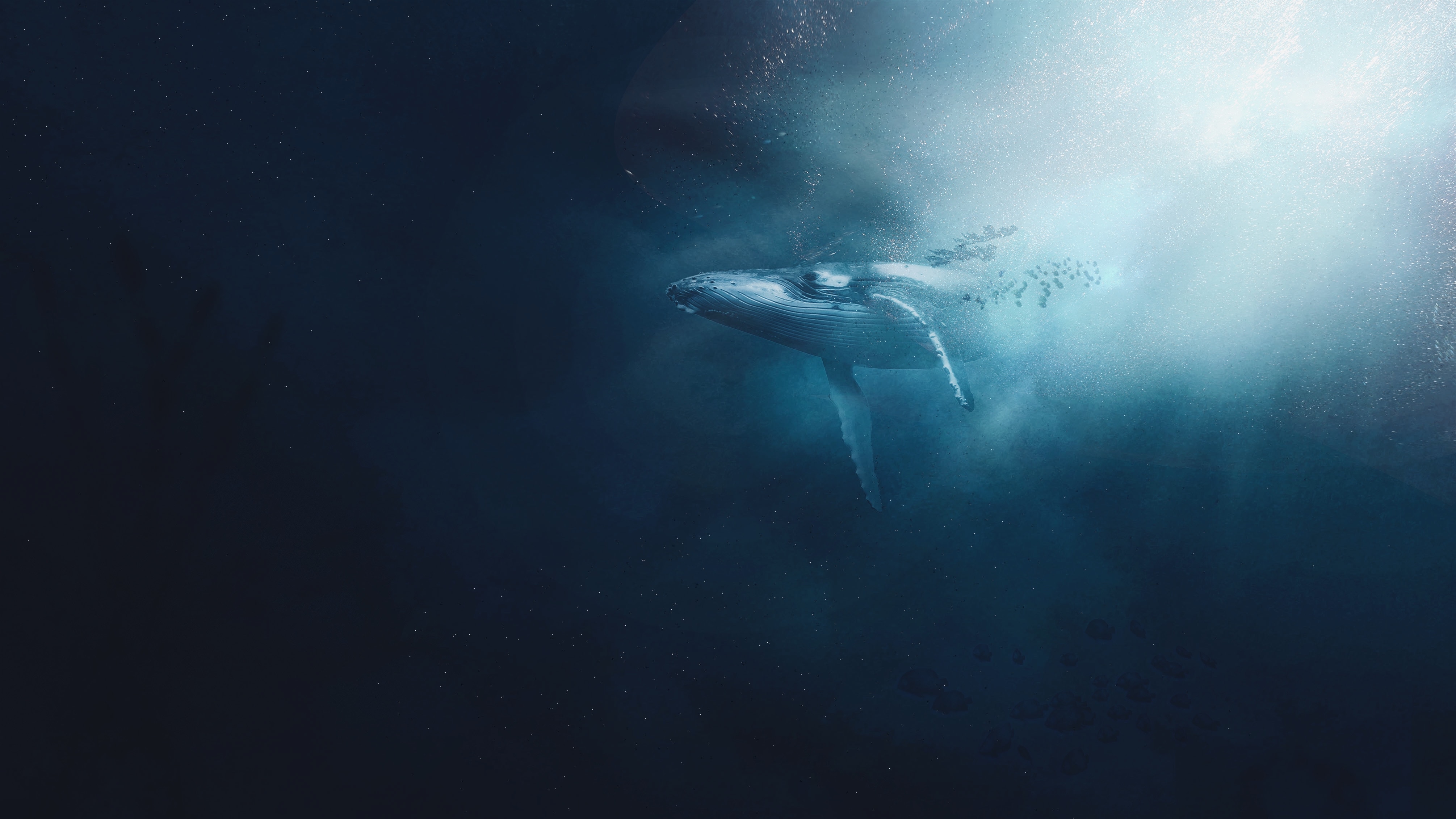 Démarrer Avec Wintercms Dans Vs Code Sur Docker · Marvin Durot
